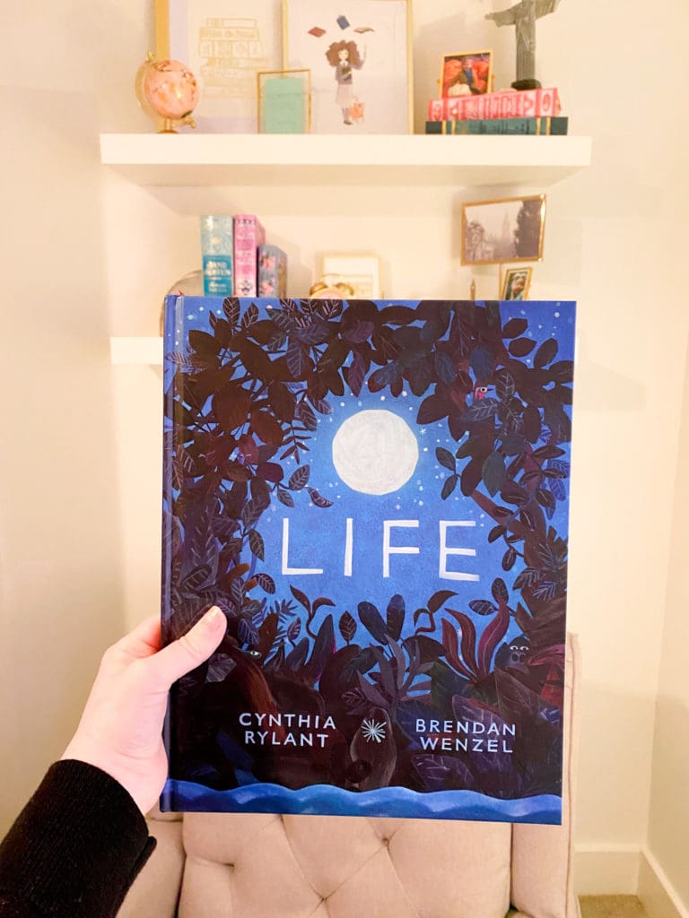 What We Bought On Amazon This Month - Living in Yellow