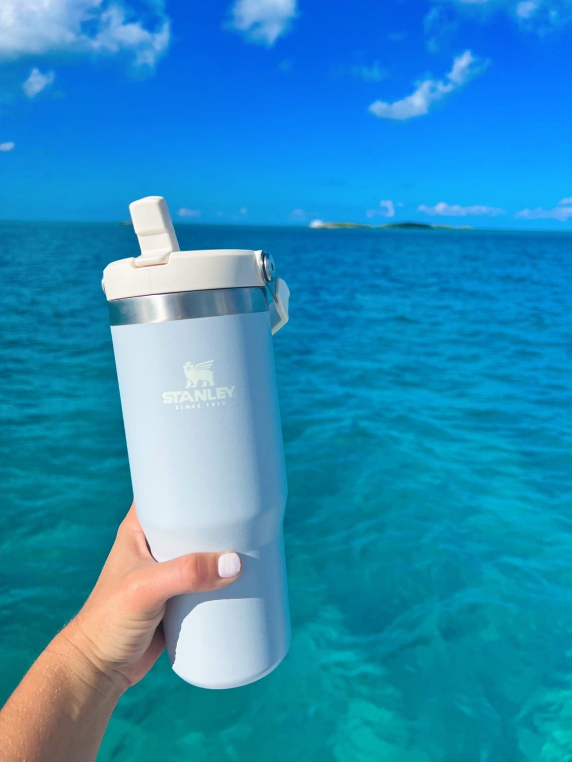 The 4 Best Stanley Travel Tumblers Living In Yellow