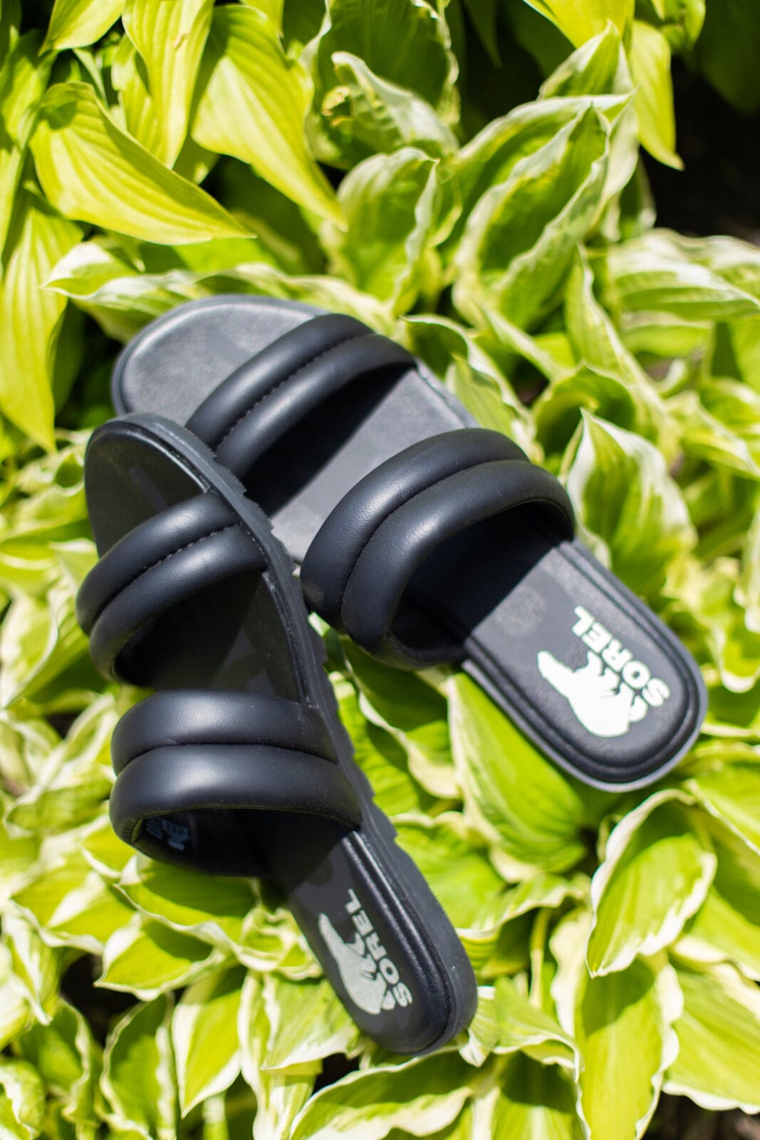 Sliding Into Summer [Shoe Style] - Living in Yellow