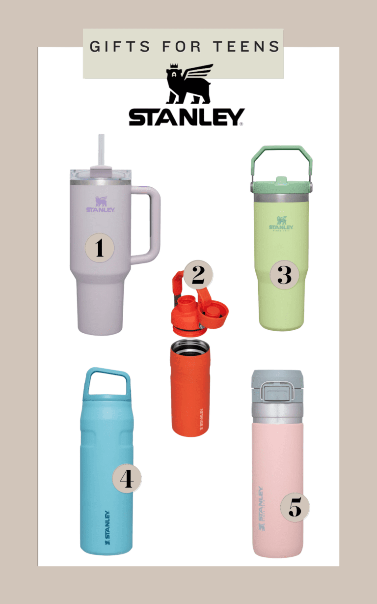 Stanley Gifts for Everyone On Your List - Living in Yellow