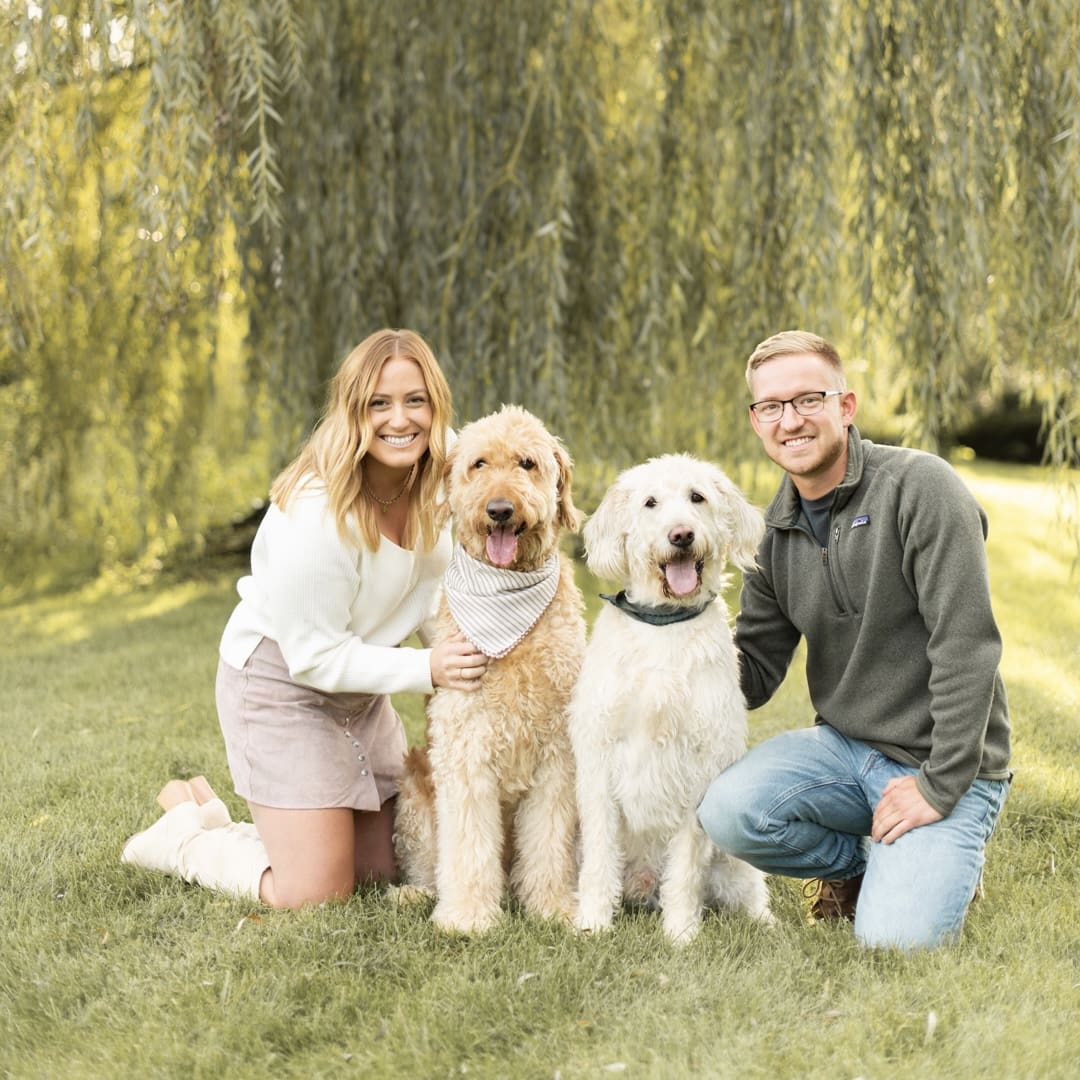 Meet The Dogs of LIY - Living in Yellow