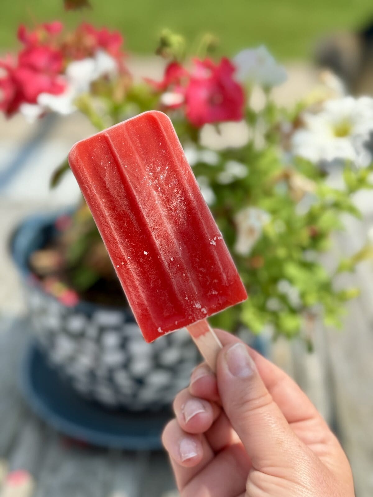 Homemade Popsicles Worth Making