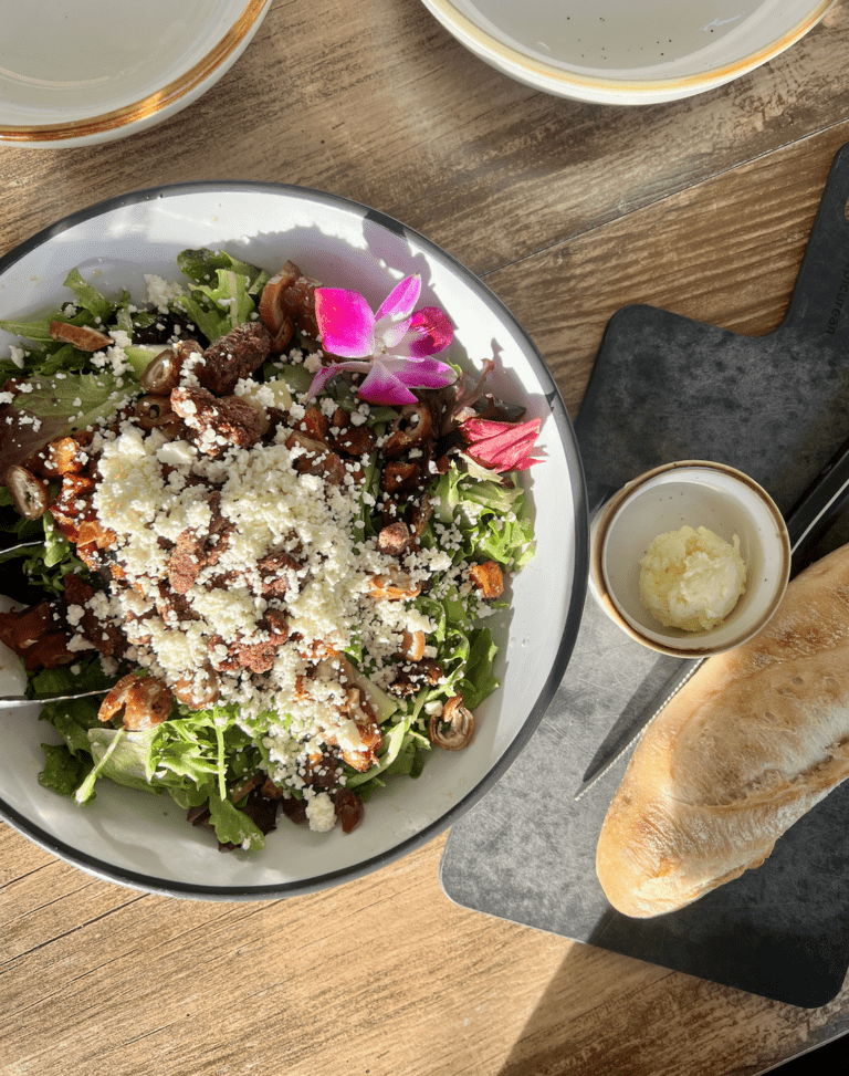 Your Complete Anna Maria Island, FL Guide - Living in Yellow